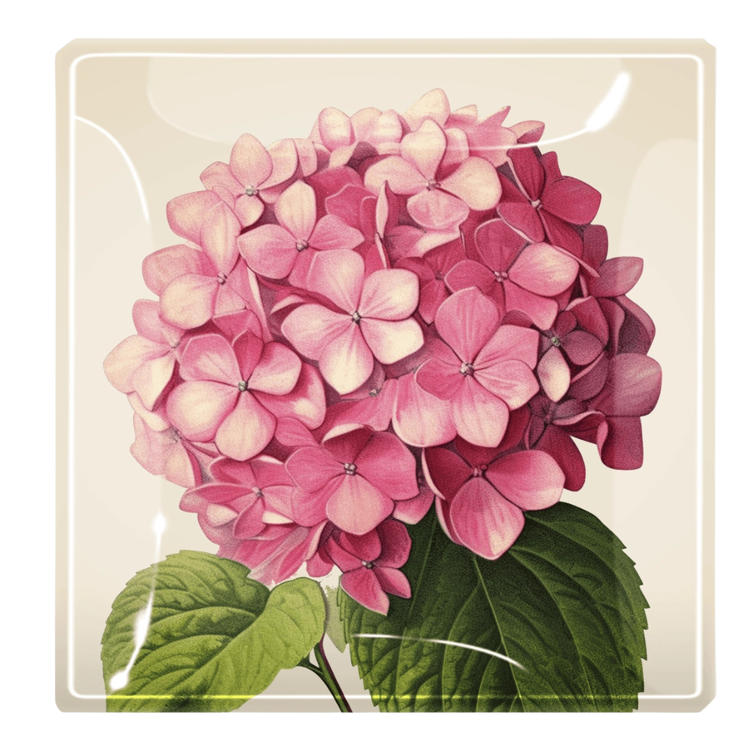 Pink Hydrangea Tray – Baker Tatum